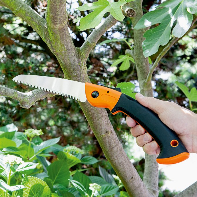 Mannenaangelegenheden voordelig online shoppen | EUROtops.nl